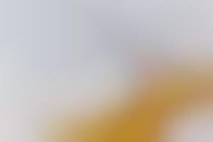 Resilience-Building Supplements : Golden Moment Turmeric Elixir