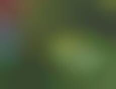 Eco-Grass Cutters: Neuton CE 6 Electric Lawn Mower Is Green on the Green