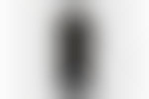 Futuristic Purse Collections : Marine Serre's 3D