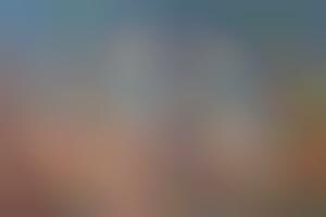 Flavored Mayonnaise Alternatives : mayonnaise alternative