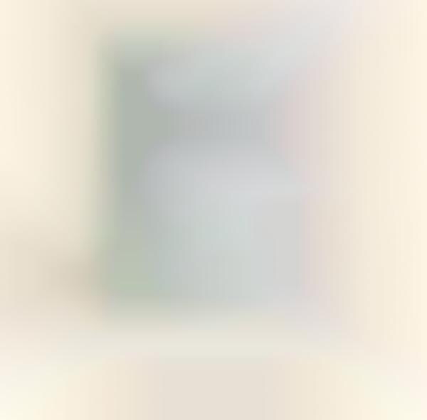 European-Style Infant Formulas : european style infant formula