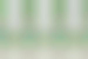 Plant-Based Ranch Dressings : plant powered ranch