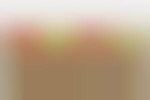 Iced Tea Hard Seltzers : Truly Iced Tea