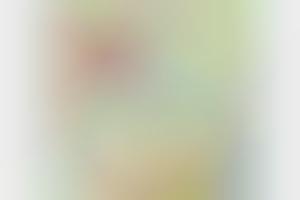 Prepackaged Springtime Baking Kits : Betty Crocker baking kits