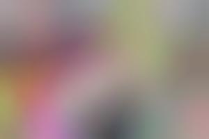 Interchangeable Component Sneakers : T-switch sneakers