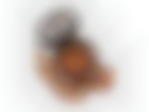 All-in-One Translucent Powders : Translucent Powder