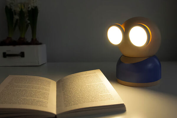 Mr bookish table lamp store