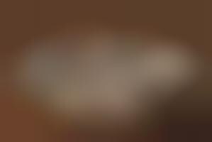 Plant-Based Sustainable Footwear : [REE]GROW