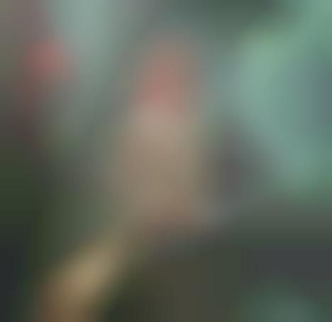 Luxury Video Game Skins : game character skins