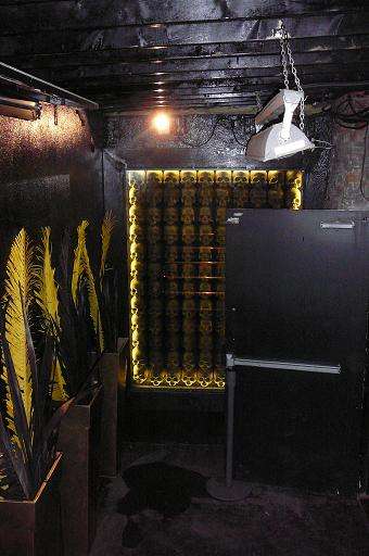 Buried Tomb Bars: Cobra Nightclub In Toronto is an Ironically Lively ...
