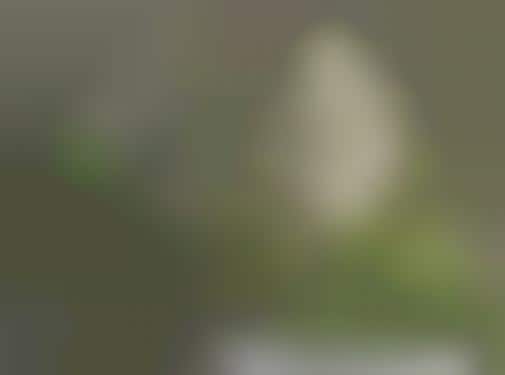 70 Irregular Architecture Designs