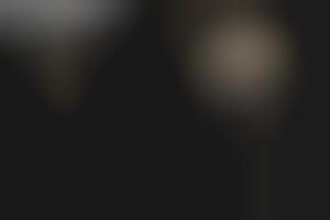 Puff Ball Pigtails: Bourgeois by 'Party Noire' is Alina Cosma's ...