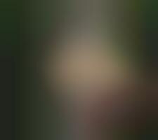 UFO Plates: Biodegradable Dishes Feed Nature After You've Finished Eating