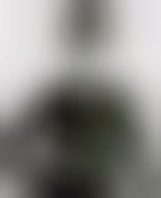 Shaving Iconic Men: Andrew Dobrow Axes Facial Hair From Famous ...