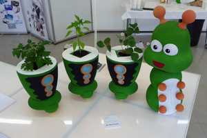 Insect Educational Toys: Ryan Parry's Caterpods Teach Kids About Plants ...