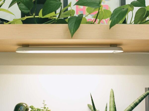 Flush-Mount Grow Lights : Modern Sprout Smart Growbar