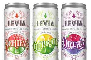 Cannabis-Infused Seltzer Drinks : Cannabis-Infused Social Seltzer