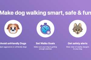 Dog-Walking Route Finders : the Paway app