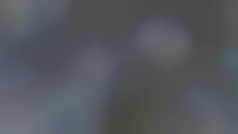 Use-Neutral Skyscraper Concepts : the unTower