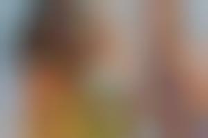 Sustainable Plant-Based Bras : plant based bra