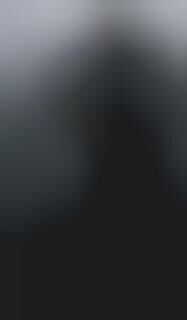 Symmetrically Chic Treehouse Homes : KOJA Treehouse