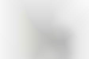 CBD-Boosted Skin Elixirs : Botanika Life