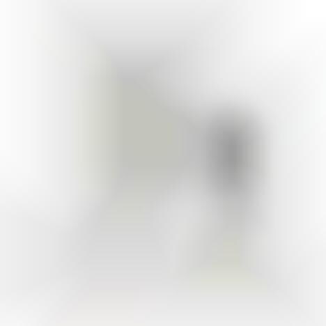 CBD-Boosted Skin Elixirs : Botanika Life