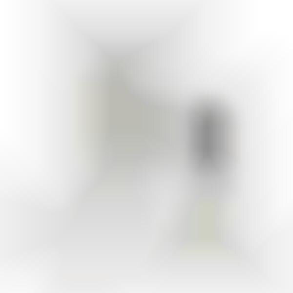 CBD-Boosted Skin Elixirs : Botanika Life