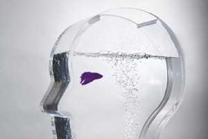Fish Heads: Clear Quirky Aquariums Rethink the Traditional Fish Tank
