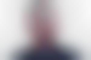 Inkless Tattoos: The 'Be Wild' Fake Tattoo Sleeve for the Pain-Fearing ...