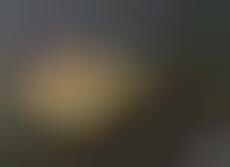 Gold-Plated Cruisers: These Luxury Rides Take Extravagance to a Whole ...