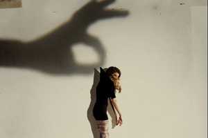 Interactive Human Shadows: Russ and Reyn Give Hand Shadows a Life of ...