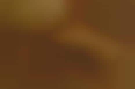 88 Canine Innovations