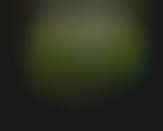 Anti-Inspirational Posters: Discouraging Signs That Shock You With ...