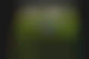 Anti-Inspirational Posters: Discouraging Signs That Shock You With ...