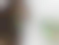 Dog Translators: Bowlingual Lets You Decipher Your Dog's Barks