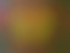 Nutritious Negligee: The Cabbage Bra is Edible Support