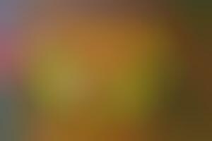 Nutritious Negligee: The Cabbage Bra is Edible Support