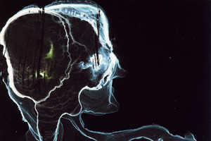 Freaky Photograms: Peculiar Negative Portraits Made Without Cameras