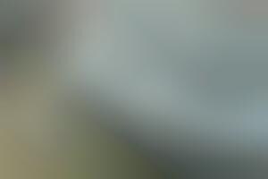 Fix-It Fails: Unsuccessful Attempts at Resourcefulness at 'There, I ...