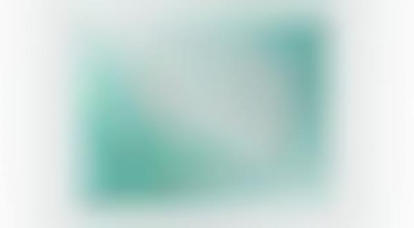 Waterless Shampoo Sheets : waterless shampoo