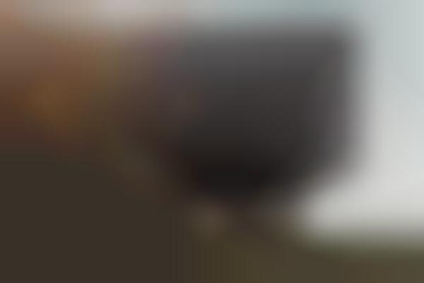 Large-Scale Prefab Home Designs : Falcon House