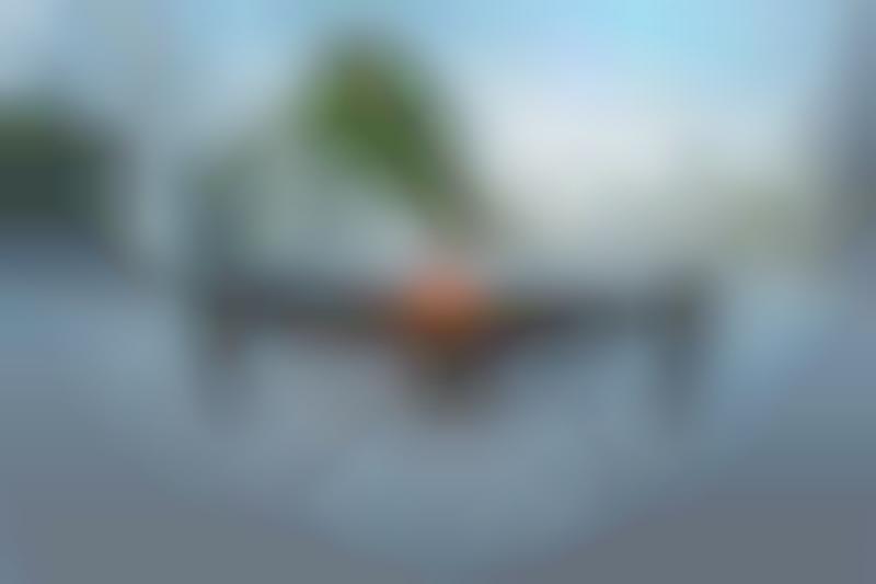 Lightweight Professional Drones : evo nano