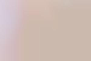 Wiener Subway Maps: Michael Hertz's Re-Designed Map Isn't Well Endowed