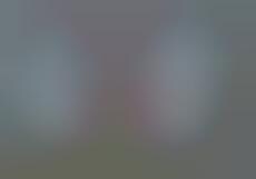 Bleeding Billboards: Shocking Approach to Promote Road Safety in New ...