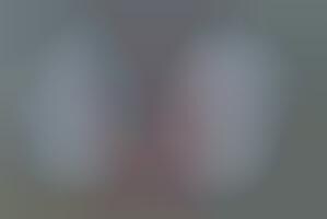 Bleeding Billboards: Shocking Approach to Promote Road Safety in New ...