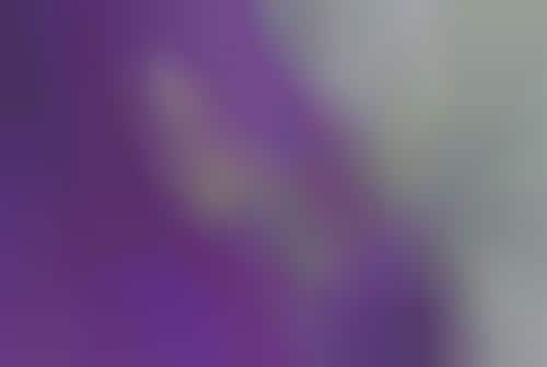 15 Snake-Inspired Fashions