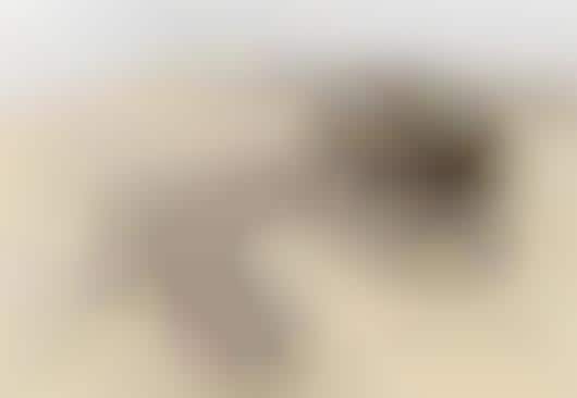 49 Examples of Dripping Decor