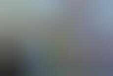 Branches that Draw: Tim Knowles Gives Trees the Tools to Paint on Canvas