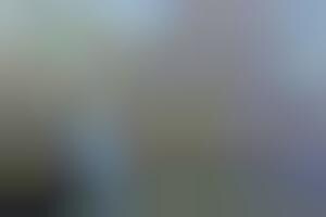 Branches that Draw: Tim Knowles Gives Trees the Tools to Paint on Canvas